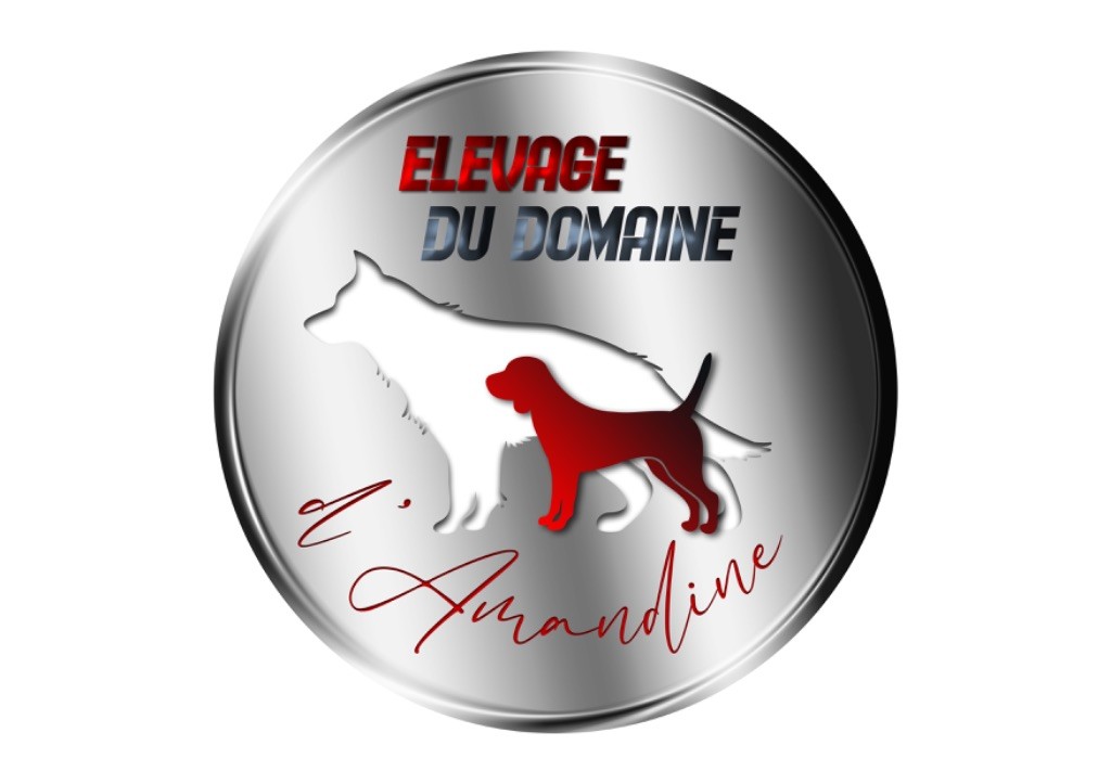 Accueil - Elevage du domaine d'Amandine - eleveur de chiens Berger allemand